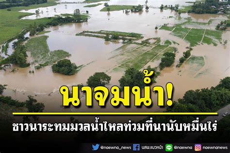 ในประเทศ ชาวนาอุดรฯระทม มวลน้ำจากลำน้ำโมงไหลเข้าท่วมที่นานับหมื่นไร่