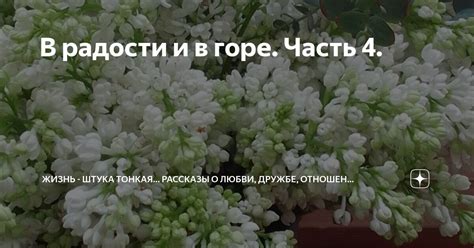 В радости и в горе Часть 4 Жизнь штука тонкая Рассказы о любви дружбе отношениях