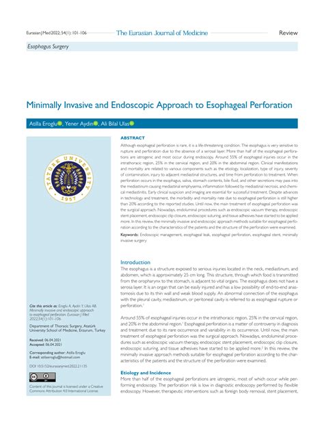 Pdf Minimally Invasive And Endoscopic Approach To Esophageal Perforation