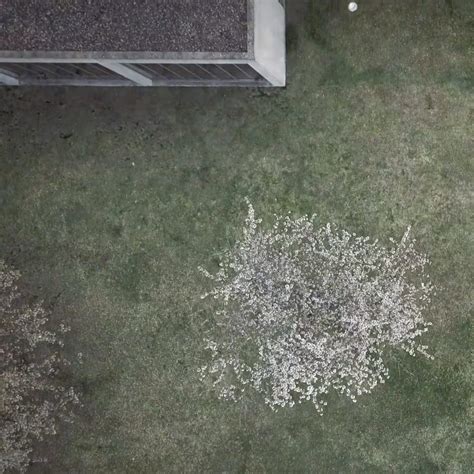 Tadao Ando Conference Pavilion And Vitra Campus Longlists Dezeen Awards 2021