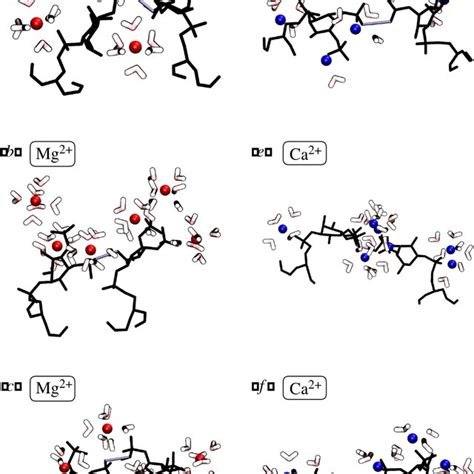 Snapshots Of Lipid Cation Lipid Bonds Each Panel Shows An