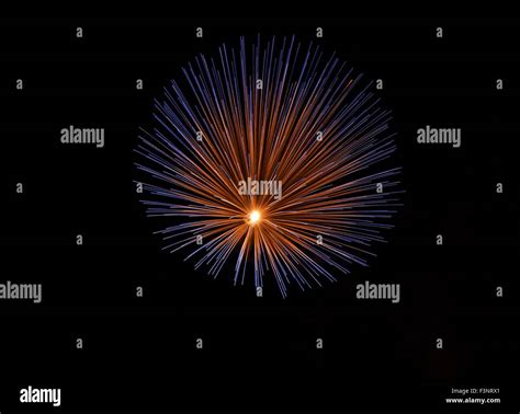 Blue And Violet Colorful Fireworks In Black Backgroundartistic Fireworks In Maltamalta