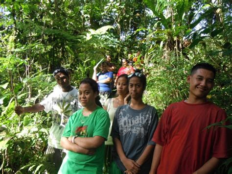 Mosses Lycophytes And Monilophytes