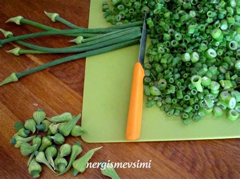 Nergismevsimi SoĞan CÜcÜĞÜ BÖreĞİ