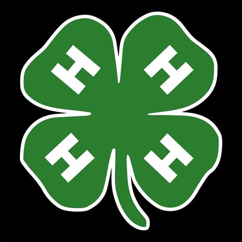 4 H Clover Sticker Waterproof Etsy