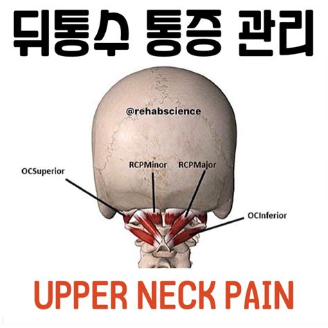 목 뒤통수 통증 관리하기후두하근 마사지 운동 네이버 블로그