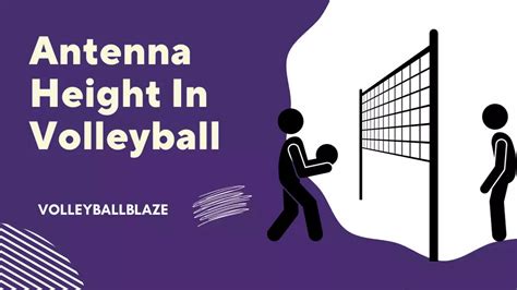 The Importance Of Standardizing Antenna Height In Volleyball