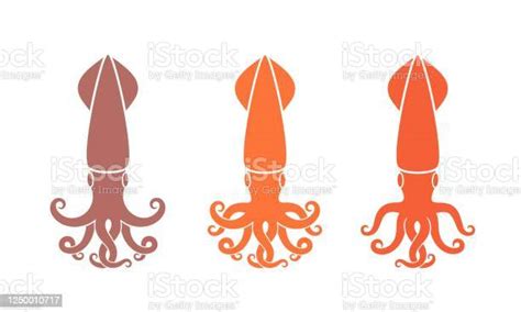 오징어 로고 흰색 배경에 고립 된 오징어 갑오징어류에 대한 스톡 벡터 아트 및 기타 이미지 갑오징어류 오징어 0명