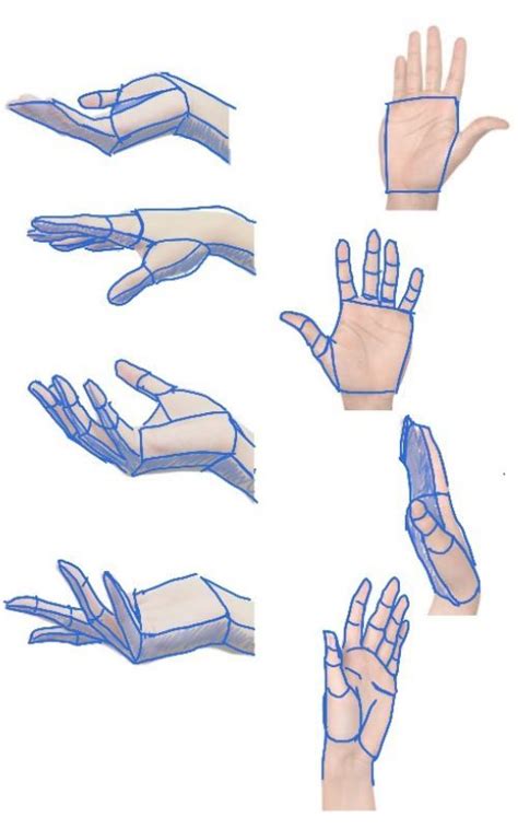 How To Draw Hands Beginner Advanced Hand Drawing Tips How To Draw