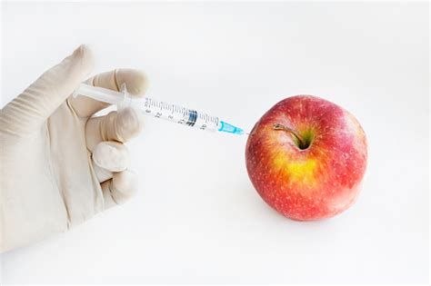 붉은 사과에 주입 붉은 화학 물질유전자 변형 과일과 주사기 Gmo 식품 실험실 연구 및 과일 선택 유전자 변형 제품 개념 Dna