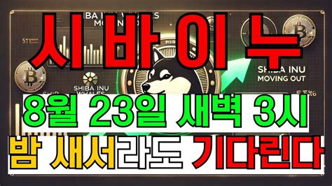 시바이누 Shib 8월 23일 새벽 3시 밤 새서라도 기다린다 Shib 시바이누코인 시바이누코인전망 시바이누호재