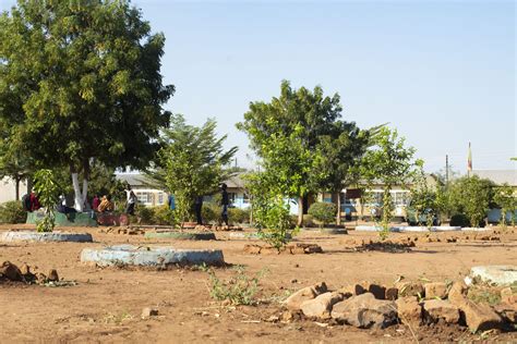 The African Impact Foundation Empowering Lives Through Education