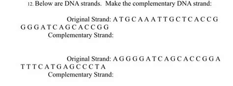 Solved 12 Below Are Dna Strands Make The Complementary Dna
