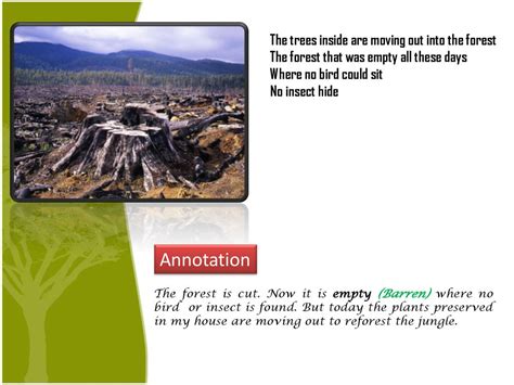 the trees prepared by nityanandesh narayan tripathi pgt english