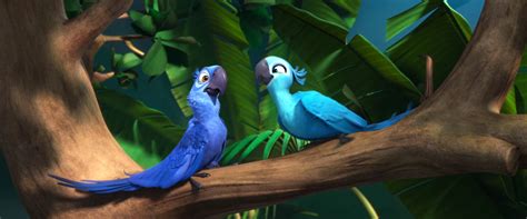 Image Jewel And Rio By Kludd17 D3dp2r6 Rio Wiki Fandom