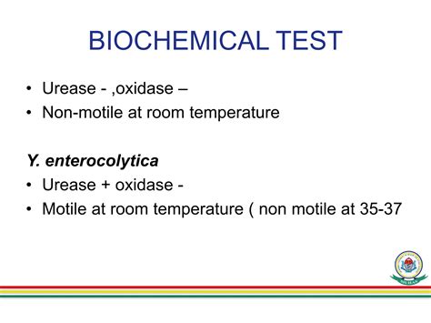 Genus Yersiniaandpasteurella Pptx These Are Gram Negatives Non Motile Bacteria Ppt