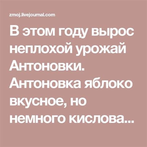 Яблоки моченые Яблоки Пикантные закуски Рецепты еды