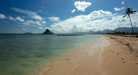 Photo Libre De Droit De Lîle De Mokolii Vue Depuis Le Parc Régional De