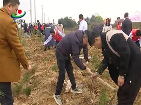 我市开展“同植幸福树 共建绿美家”植树活动海门镇市妇联乡村