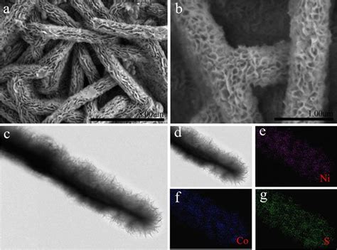 A B SEM Image Of NiCo2S4 RF C D TEM Image Of NiCo2S4 RF Eg The