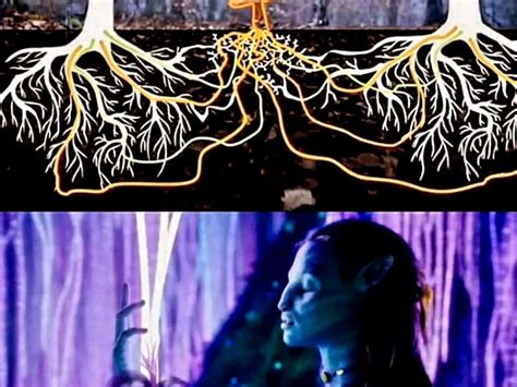 Verbinden Met De Moeder Aarde Hipsy