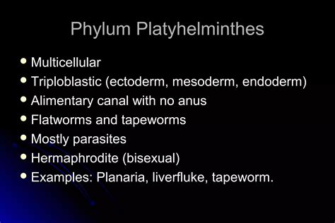 Invertebrates Ppt