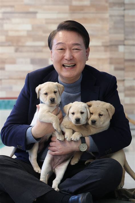 尹대통령 크리스마스이브에 은퇴 안내견 새롬이 입양11번째 동물 식구 네이트 뉴스
