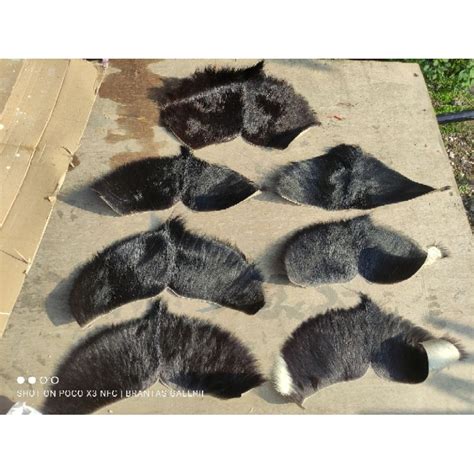 Jual Simbar Barongan Singo Barong Gubat Sapi Rambut Sapi Shopee