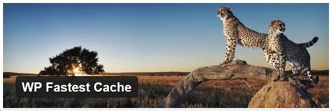 How I Found The Best WordPress Cache Plugin To Speed Up My Site