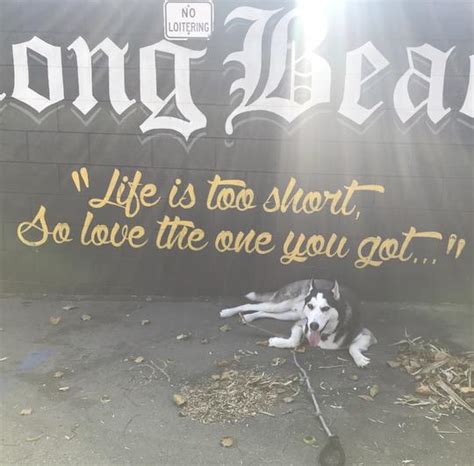 Sublime Memorial Wall In Long Beach Ca 40 Photos
