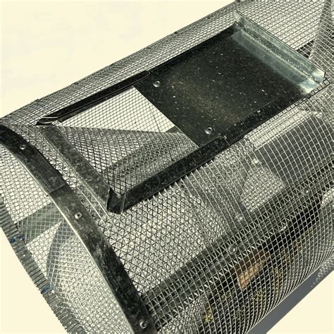 Perch And Bait Trap Bjornsen Pond Management