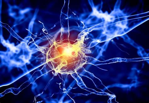 Biogen Revives Aducanumab Experimental Alzheimer S Drug To Submit For