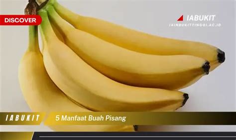 Bukan Cuma Buah Nangka Ini Dia 5 Manfaat Buah Pisang Yang Bikin Penasaran