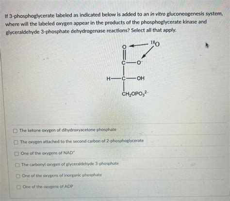 Solved Consider The Peptide Shown Below What Is The Amino