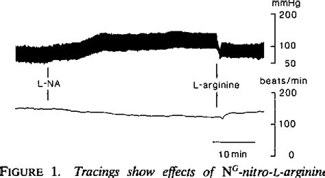 Figure 1 From Neural Mechanism Of Hypertension By Nitric Oxide Synthase