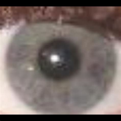 Eye Color Analysis Test Object Detection Model By Ash
