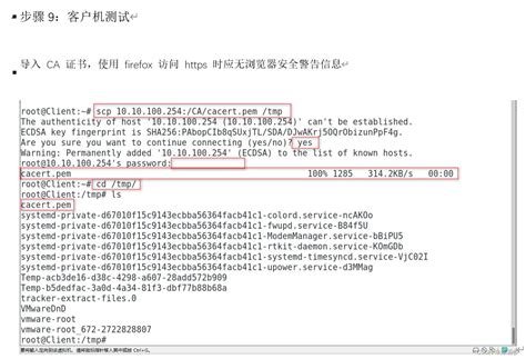 网络系统管理赛项 Linux服务部署（caweb）网络管理赛题linuxpd郑的博客 Csdn博客