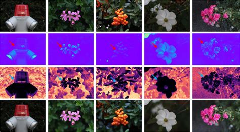 The Focused Regions Estimated By The Frdb In Branch 2 From Top To Download Scientific Diagram