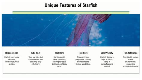 Exploring Echinoderms Fascinating Sea Creatures Ppt Example St Ai Ppt