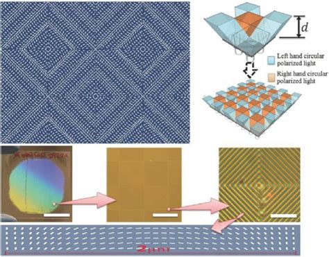 The Alignment Structure Of The Complex Ordered LC Polymer Film Shows