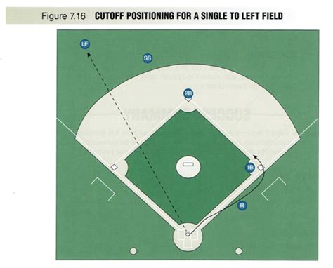 Cutoff Positioning For A Ball Hit To Left Field Article Coaches Insider