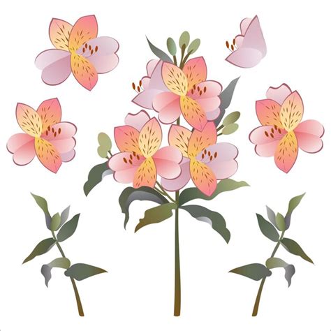 Alstroemeria Ensemble De Différentes Fleurs Dalstroemeria Sur Fond