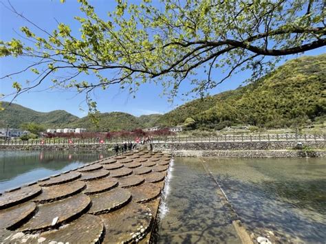2025年基本建成美丽中国先行示范区 大美宁波 这样描绘 澎湃号媒体 澎湃新闻 The Paper