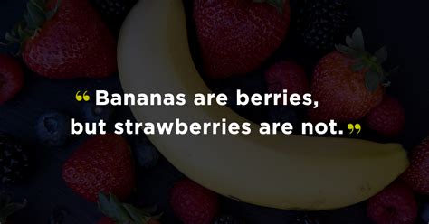 8 Useless Facts For No Reason