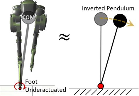 the foot underactuation of bipedal walking with the illustration by an