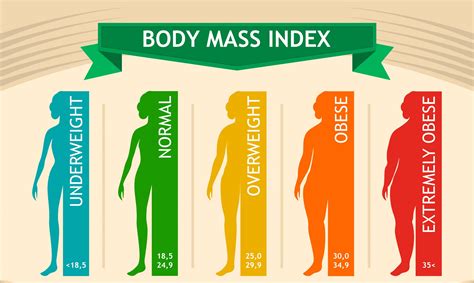 Body Mass Index Bmi