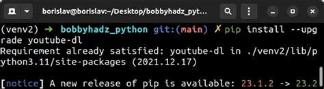 error youtube said unable to extract video data [solved] bobbyhadz