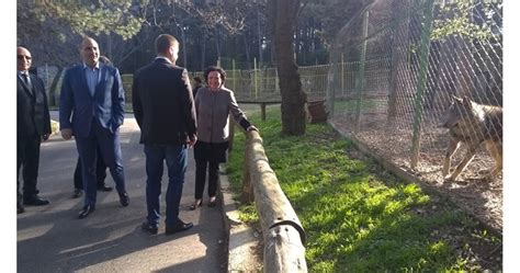 Василева Недопустимо насилието над животни