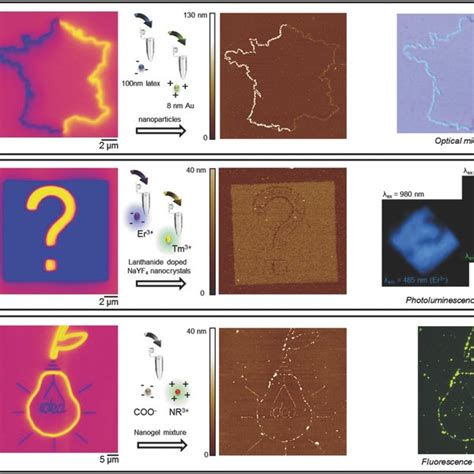 Assembly Examples Extracted From The Three Strategies Developed In Our Download Scientific Assembly Examples Extracted From The Three Strategies Developed In Our Download Scientific