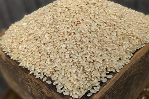 土鍋での玄米の炊き方～♪ ご飯もののレシピ・作り方｜食べチョク｜産地直送産直お取り寄せ通販 農家・漁師から旬の食材を直送